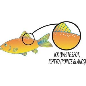 tetra | Fish | Tetra Ick Guard 8 Fizz Tablets Treats Up To 8 Gallon ...